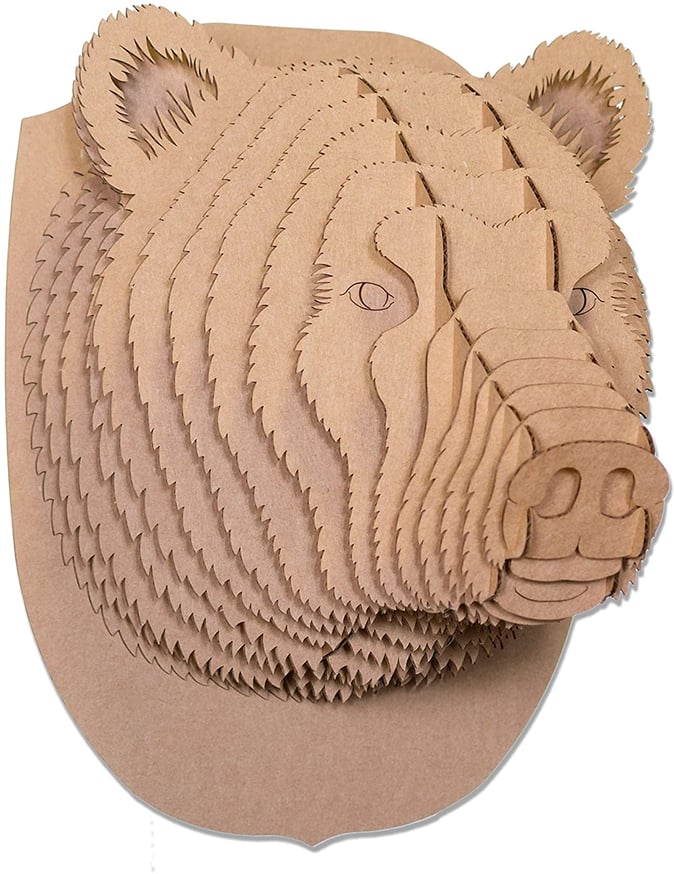 37 Cool Amazon Products I REALLY Need | 22 Words