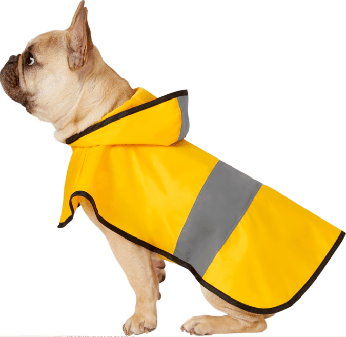 The 10 Commandments From a Dog's Perspective | 22 Words