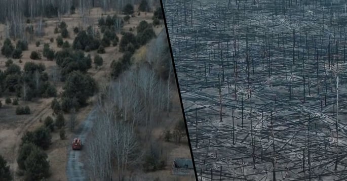 Shocking Drone Footage Shows The Devastation Of Chernobyl Forest Fires