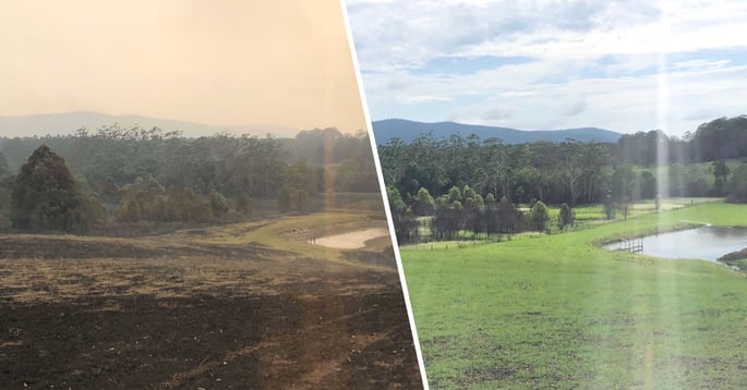 Incredible Impact Rain Has Had on Bushfire Areas Shown in Before and ...