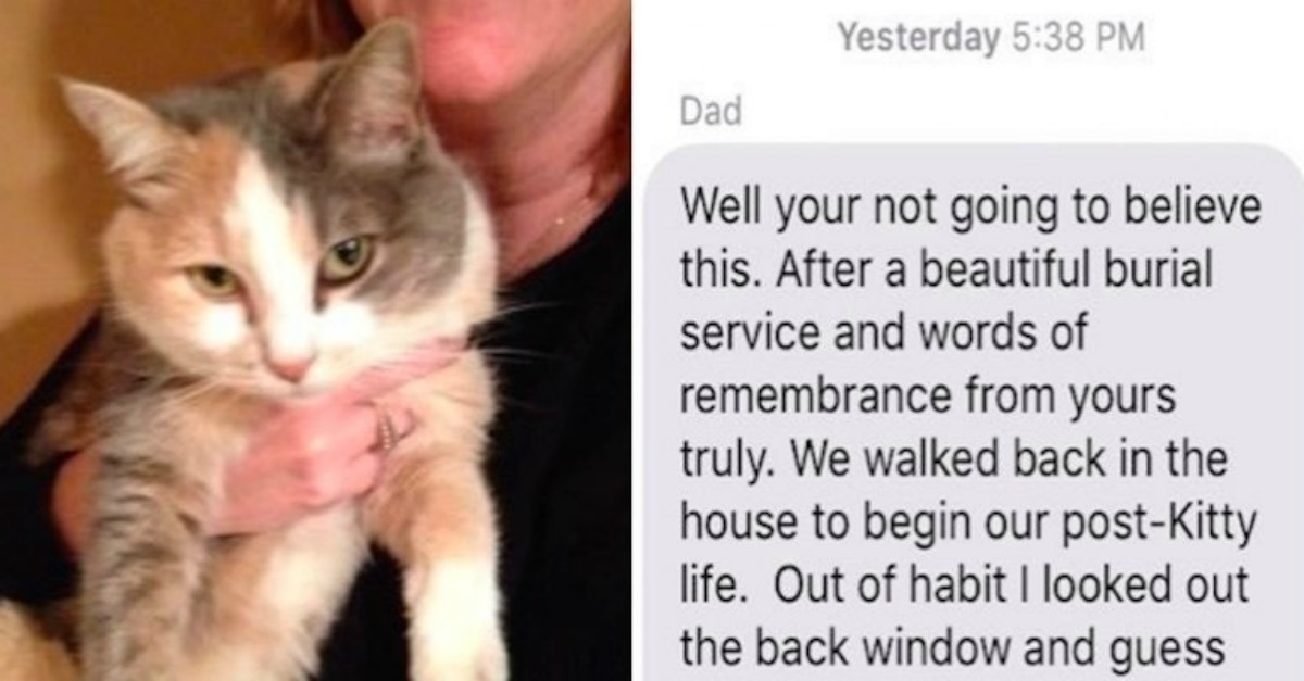 Family s Group Text About Their Cat s Death Has Absurdly Hilarious Family s Group Text About Their Cat s Death Has Absurdly Hilarious